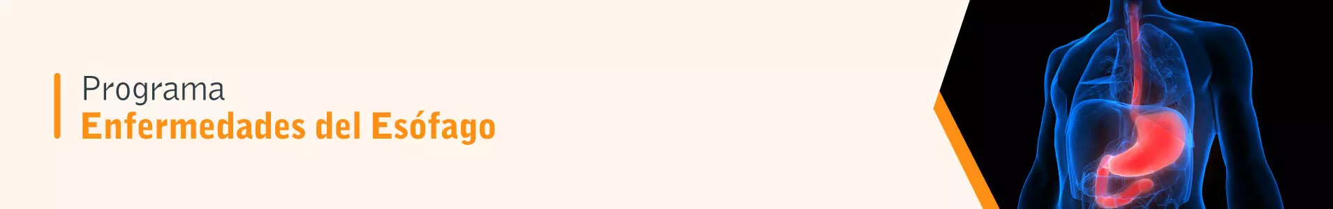 Patología de Esófago | Programas | Clínica UANDES