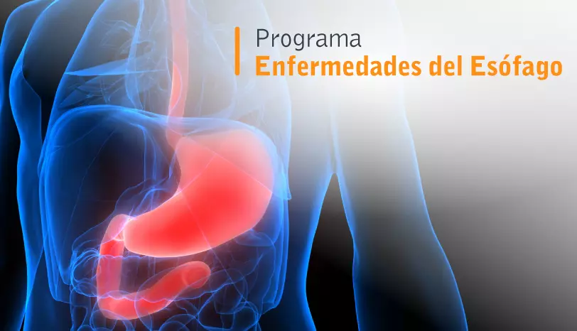 Centro de Enfermedades Digestivas | Centros | Clínica UANDES